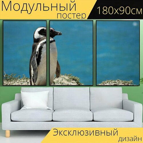 Модульный постер "Пингвин, море, природа" 180 x 90 см. для интерьера