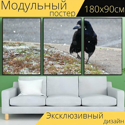 Модульный постер "Ворон, птица, природа" 180 x 90 см. для интерьера