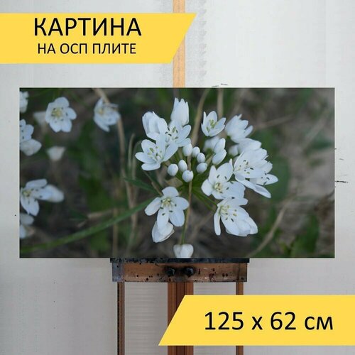 Картина на ОСП 125х62 см. "Цветок, белый, цвести" горизонтальная, для интерьера, с креплениями