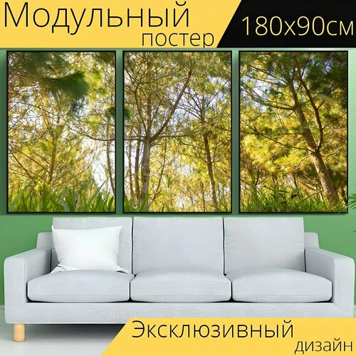 Модульный постер "Лес, сосна, зеленая природа" 180 x 90 см. для интерьера