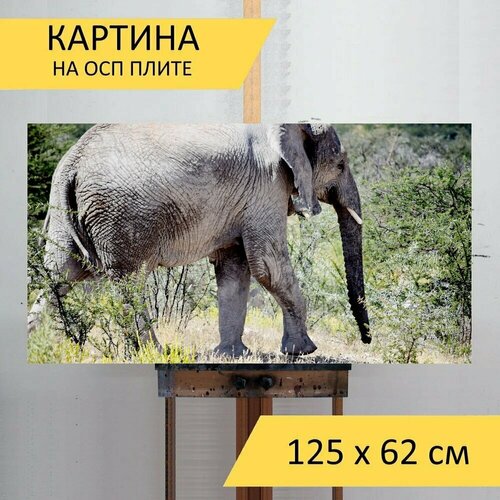 Картина на ОСП 125х62 см. "Слон, большой, животное" горизонтальная, для интерьера, с креплениями