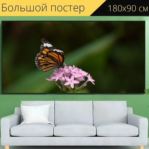Большой постер "Бабочка, цветы, летать" 180 x 90 см. для интерьера