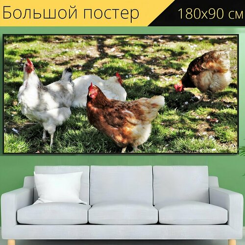 Большой постер "Птицы, ферма, животные" 180 x 90 см. для интерьера