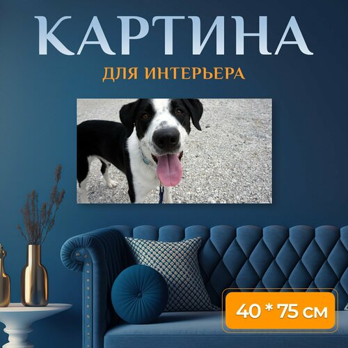 Картина на холсте "Собака, счастливый, домашний питомец" на подрамнике 75х40 см. для интерьера