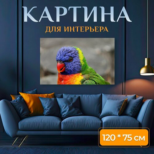 Картина на холсте "Попугай, закрывать, мускусный лорикет" на подрамнике 120х75 см. для интерьера