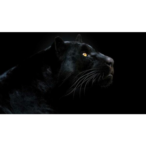 Картина на холсте 60x110 LinxOne "Морда хищник черный взгляд" интерьерная для дома / на стену / на кухню / с подрамником