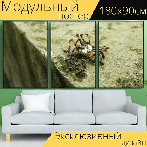Модульный постер "Работа, насекомые, макро паук" 180 x 90 см. для интерьера