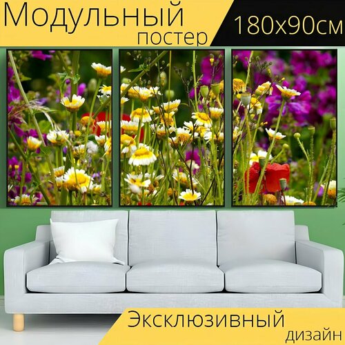Модульный постер "Цветочный луг, весна, цветок" 180 x 90 см. для интерьера