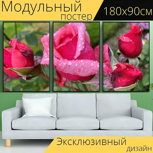Модульный постер "Роза, розовый, сад" 180 x 90 см. для интерьера