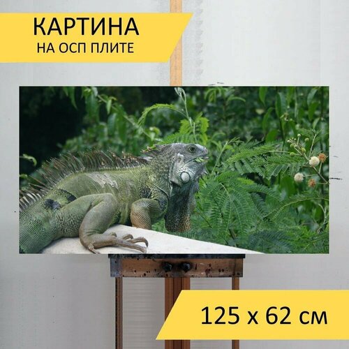 Картина на ОСП 125х62 см. "Игуана, ящерица, вьекес" горизонтальная, для интерьера, с креплениями