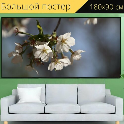Большой постер "Цветение вишни, цветы, весна" 180 x 90 см. для интерьера