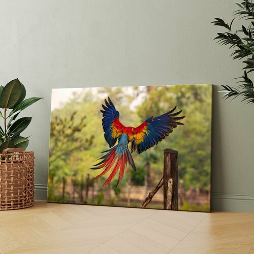 Картина на холсте (Попугай ара с размахом крыльев) 20x30 см. Интерьерная, на стену.