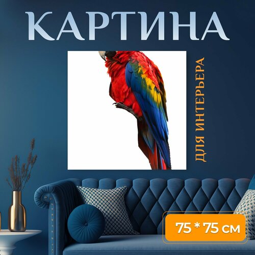 Картина на холсте "Попугай, красный, синий" на подрамнике 75х75 см. для интерьера