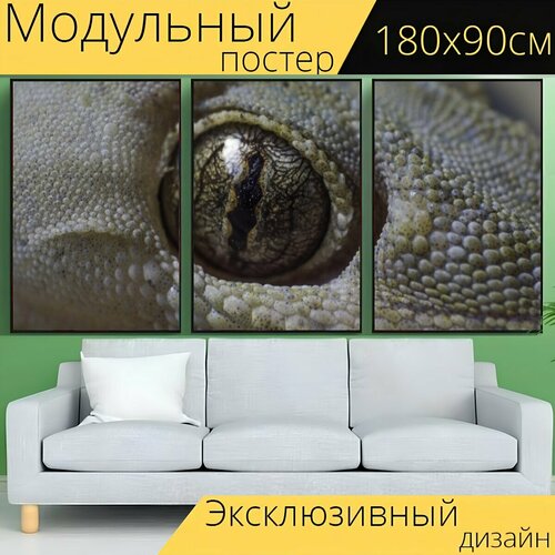 Модульный постер "Глаз, ящерица, животное" 180 x 90 см. для интерьера