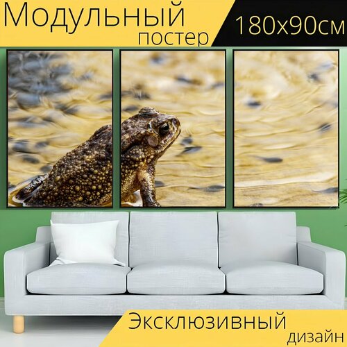 Модульный постер "Лягушка, вода, пруд" 180 x 90 см. для интерьера