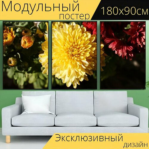 Модульный постер "Сад, цветы, хризантемы" 180 x 90 см. для интерьера