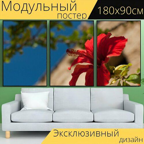 Модульный постер "Гибискус, цветок, красный" 180 x 90 см. для интерьера