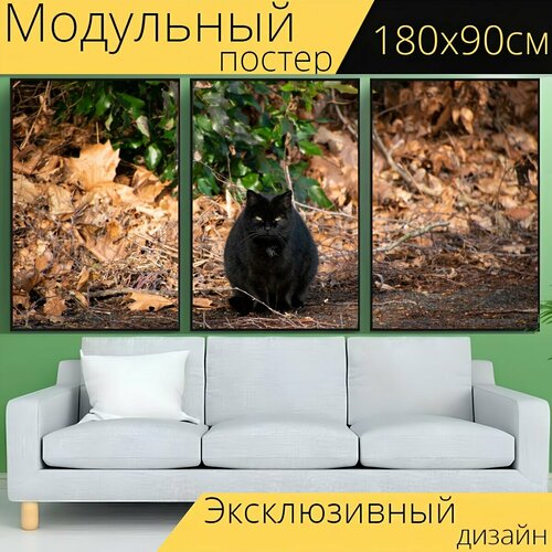 Модульный постер "Кошка, черный кот, животное" 180 x 90 см. для интерьера