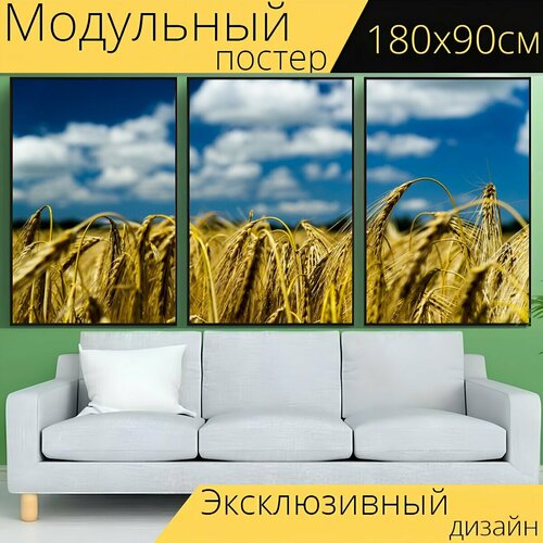Модульный постер "Зерно, летом, поле" 180 x 90 см. для интерьера