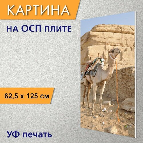 Вертикальная картина на ОСП "Верблюд, египет, пирамиды" 62x125 см. для интерьериа