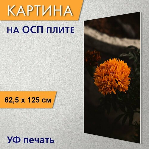 Вертикальная картина на ОСП "Календула, цветок, ноготки" 62x125 см. для интерьериа