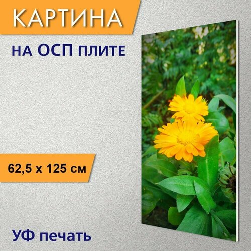Вертикальная картина на ОСП "Цветок, подсолнух, желтый цветок" 62x125 см. для интерьериа