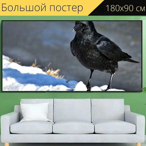 Большой постер "Ворона, ворон, чернить" 180 x 90 см. для интерьера