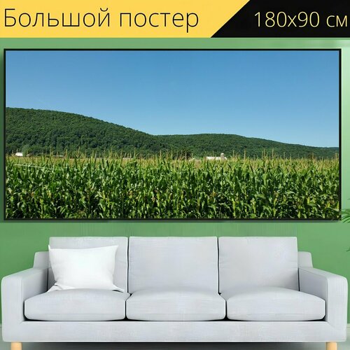 Большой постер "Кукурузное поле, обрезать, кукуруза" 180 x 90 см. для интерьера