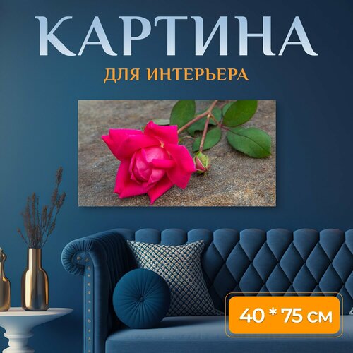 Картина на холсте "Роза, камень, цветок" на подрамнике 75х40 см. для интерьера