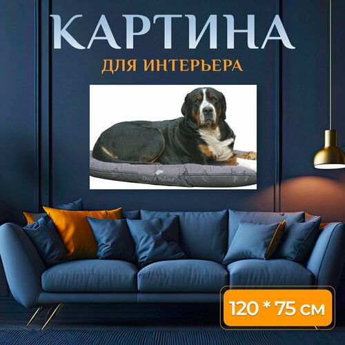 Картина на холсте "Собака, горная собака, посмотреть" на подрамнике 120х75 см. для интерьера