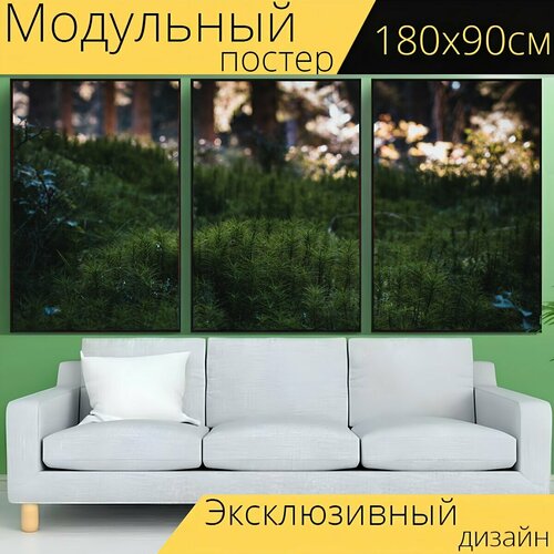 Модульный постер "Мох, трава, растения" 180 x 90 см. для интерьера