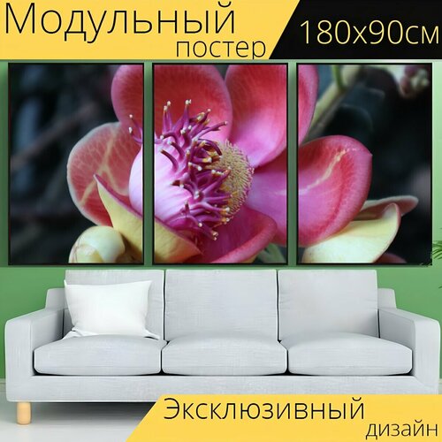 Модульный постер "Экзотический цветок, природа, ботаника" 180 x 90 см. для интерьера