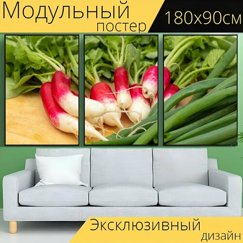 Модульный постер "Редис, лук, овощи" 180 x 90 см. для интерьера
