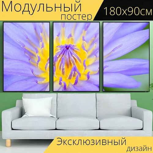 Модульный постер "Лотос, цветок, цвести" 180 x 90 см. для интерьера