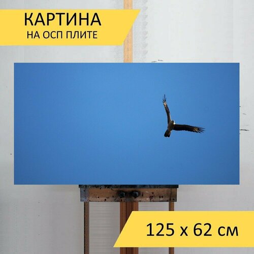Картина на ОСП 125х62 см. "Орел, полет, небо" горизонтальная, для интерьера, с креплениями