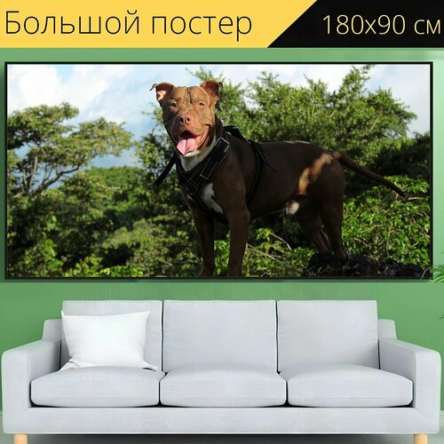 Большой постер "Собака, домашний питомец, животное" 180 x 90 см. для интерьера