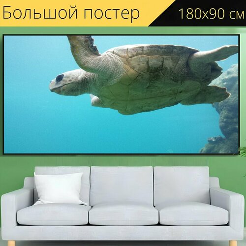 Большой постер "Черепаха, подводный, море" 180 x 90 см. для интерьера