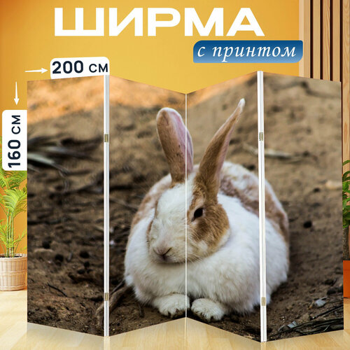 Ширма перегородка с принтом "Кролик, заяц, животное" на холсте - 200x160 см. для зонирования, раскладная