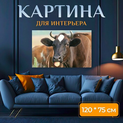 Картина на холсте "Корова, язык, дразнить" на подрамнике 120х75 см. для интерьера