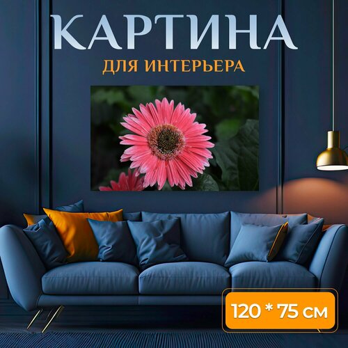 Картина на холсте "Маргаритка, цветок, завод" на подрамнике 120х75 см. для интерьера