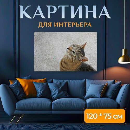 Картина на холсте "Кошка, тигр, смотреть" на подрамнике 120х75 см. для интерьера