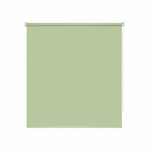 Рулонная штора "Плайн", 100х160 см, цвет весенний зеленый