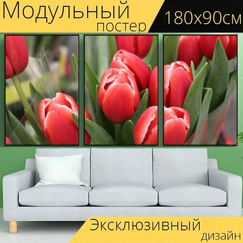 Модульный постер "Тюльпаны, цветы, марта" 180 x 90 см. для интерьера