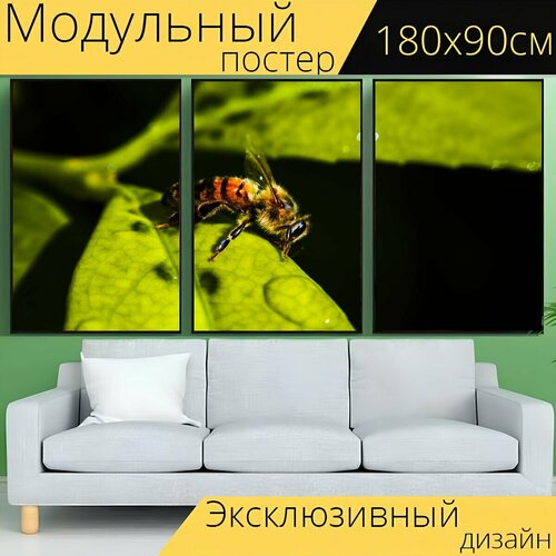 Модульный постер "Пчела, медовый, насекомое" 180 x 90 см. для интерьера