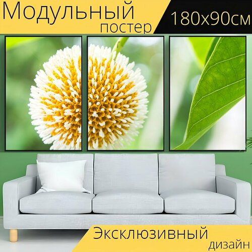 Модульный постер "Цветок, цветущий, природа" 180 x 90 см. для интерьера