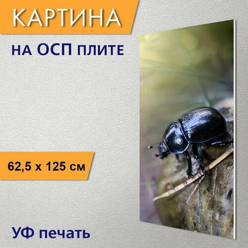 Вертикальная картина на ОСП "Жук, насекомое, животное" 62x125 см. для интерьериа