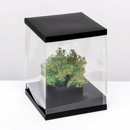 Коробка для цветов с вазой и PVC окнами складная, 23 х 30 х 23 см черный 9574820