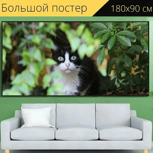 Большой постер "Кошка, сорока кошка, растения" 180 x 90 см. для интерьера