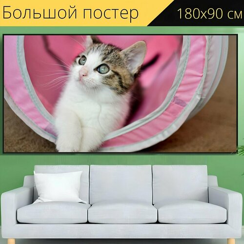 Большой постер "Кошка, домашняя кошка, даховец" 180 x 90 см. для интерьера