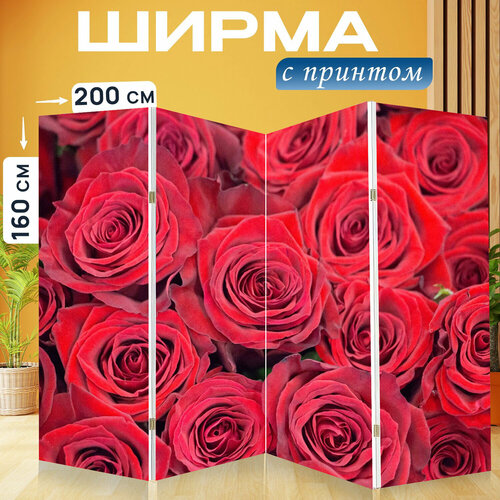 Ширма перегородка с принтом "Розы, красный, лепестки" на холсте - 200x160 см. для зонирования, раскладная